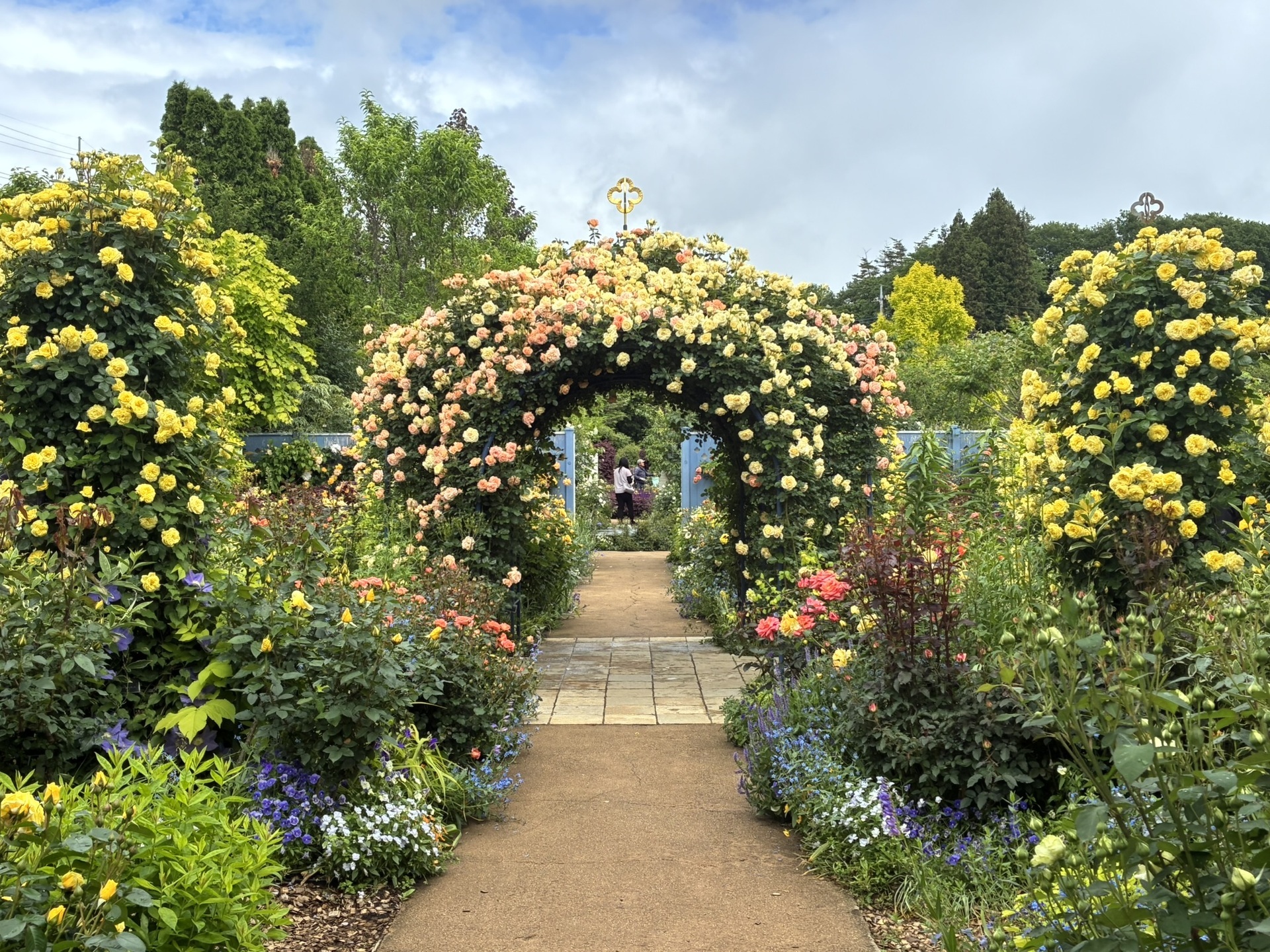 中之条ガーデンズへ行って来ました♪: 気ままな庭